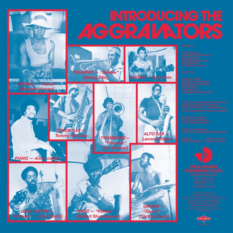 Tommy McCook and the Aggravators - Brass Rockers (Vinyle)